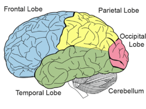 fNIRS vs EEG: Comparing Non-Invasive Brain Imaging Techniques - iMotions