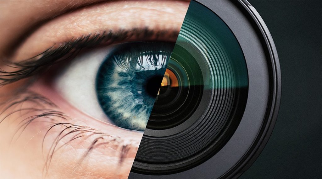 Comprehensive Guide to Eye Tracker Prices: 15+ Options Reviewed for ...