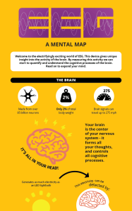 A Mental Map of EEG [Infographic] - iMotions