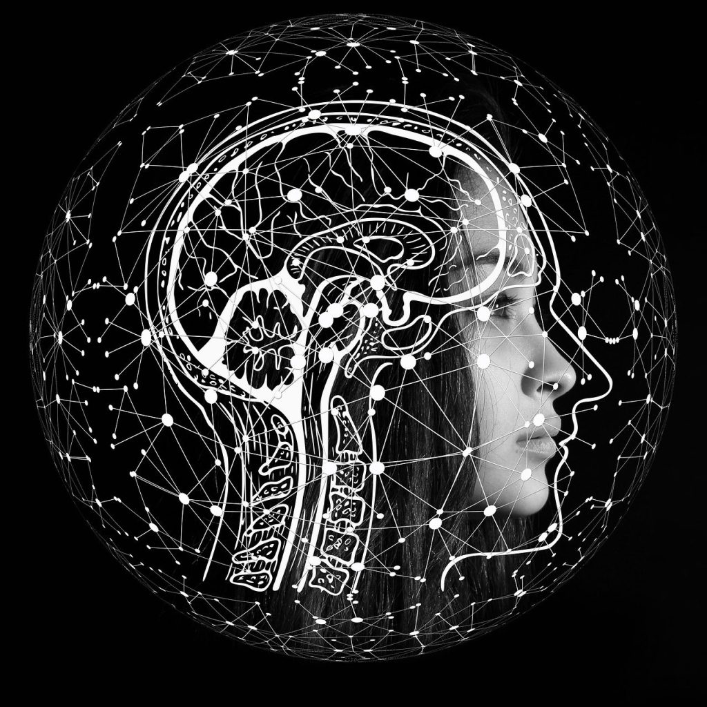 EEG vs. MRI vs. fMRI - What are the Differences? - iMotions