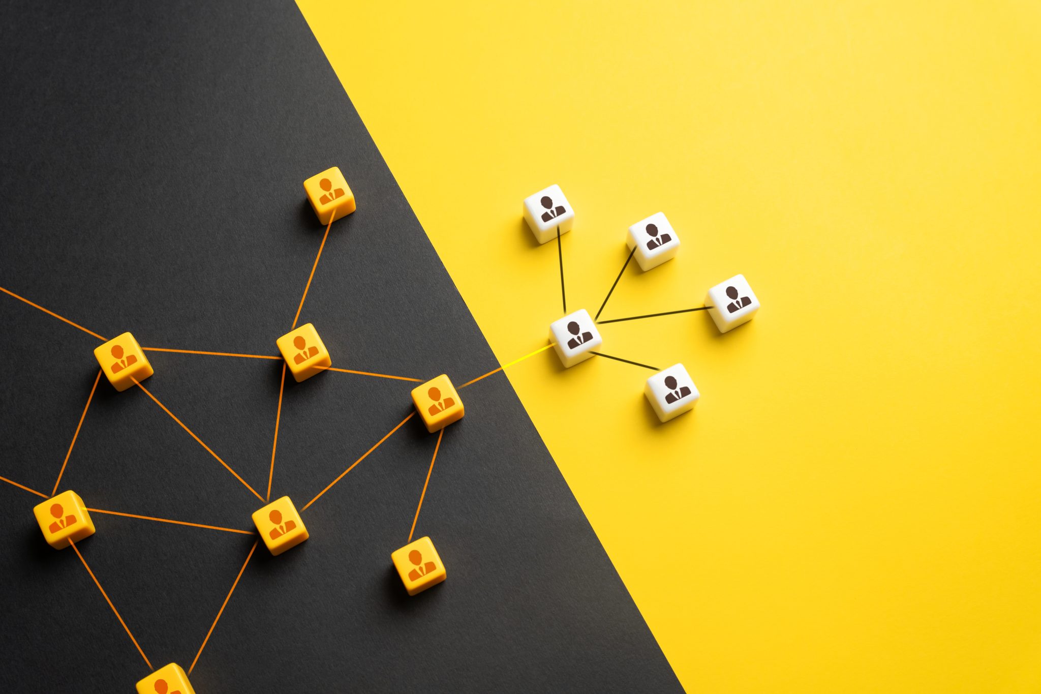 Understanding and Overcoming Participant Bias in Research - iMotions