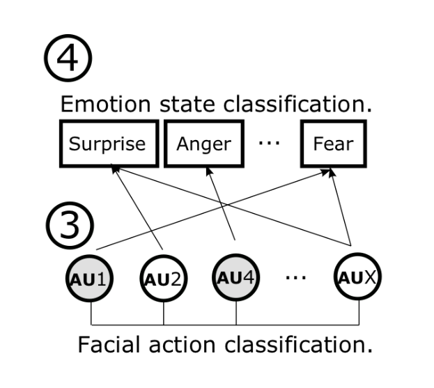 Affectiva SDK: A Cross-Platform RealTime Multi-Face Expression Recognition Toolkit - iMotions